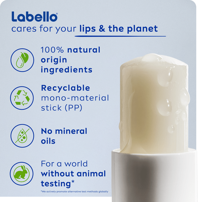 Labello Original: Improved formula